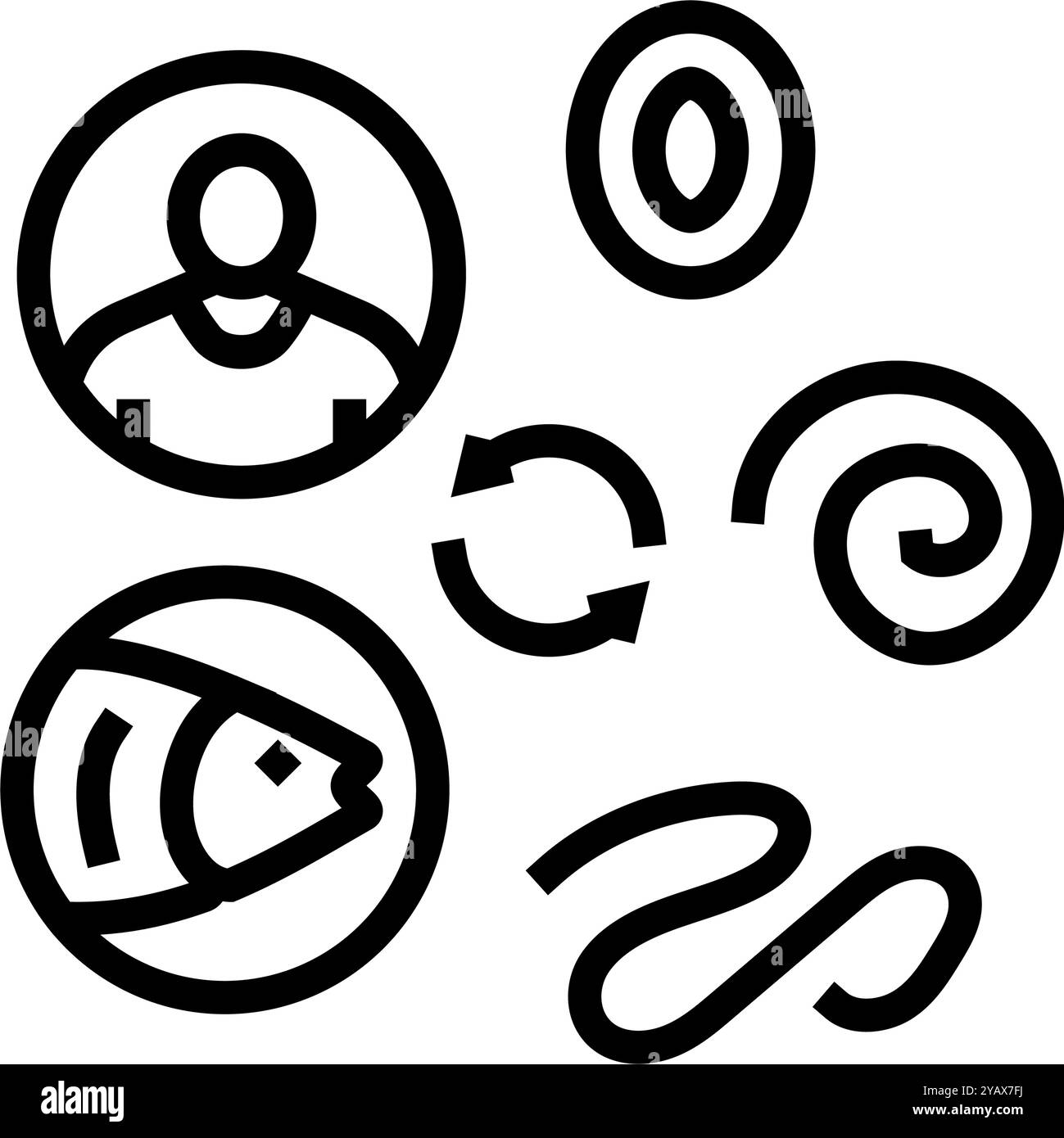 worm lifecycle parasite line icon vector illustration Stock Vector ... worm lifecycle parasite line icon vector illustration Stock Vector ...