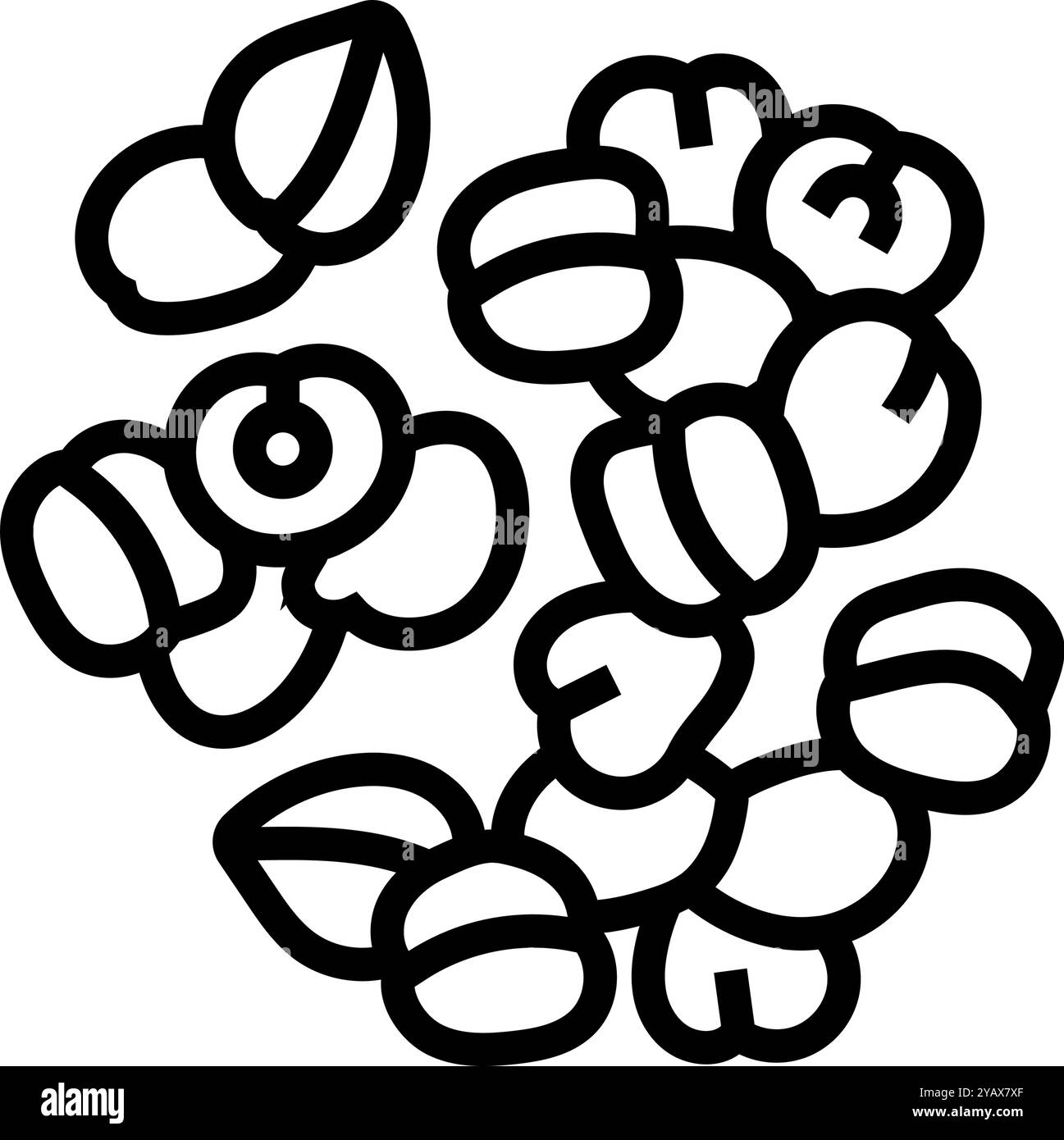 chickpeas vegan food line icon vector illustration Stock Vector Image ...