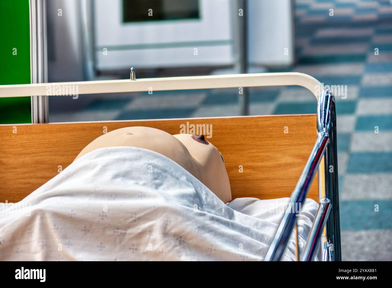 mannequin pregnant woman in bed, students training on Human Anatomy ...