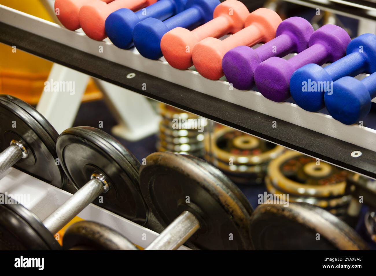 dumbbells in a rack, various weights, shapes and colors Stock Photo - Alamy