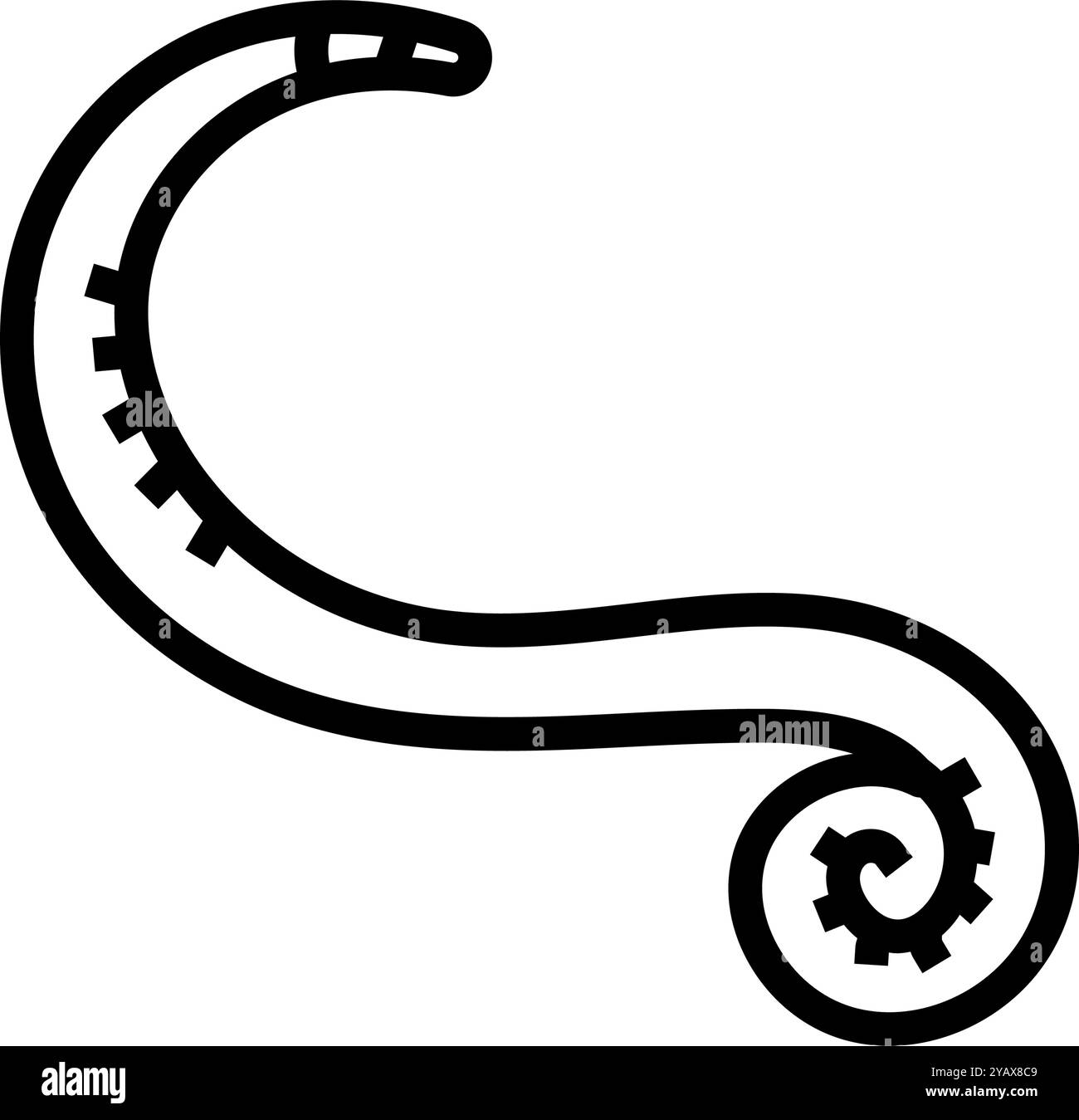 Parasite intestinal Black and White Stock Photos & Images - Alamy