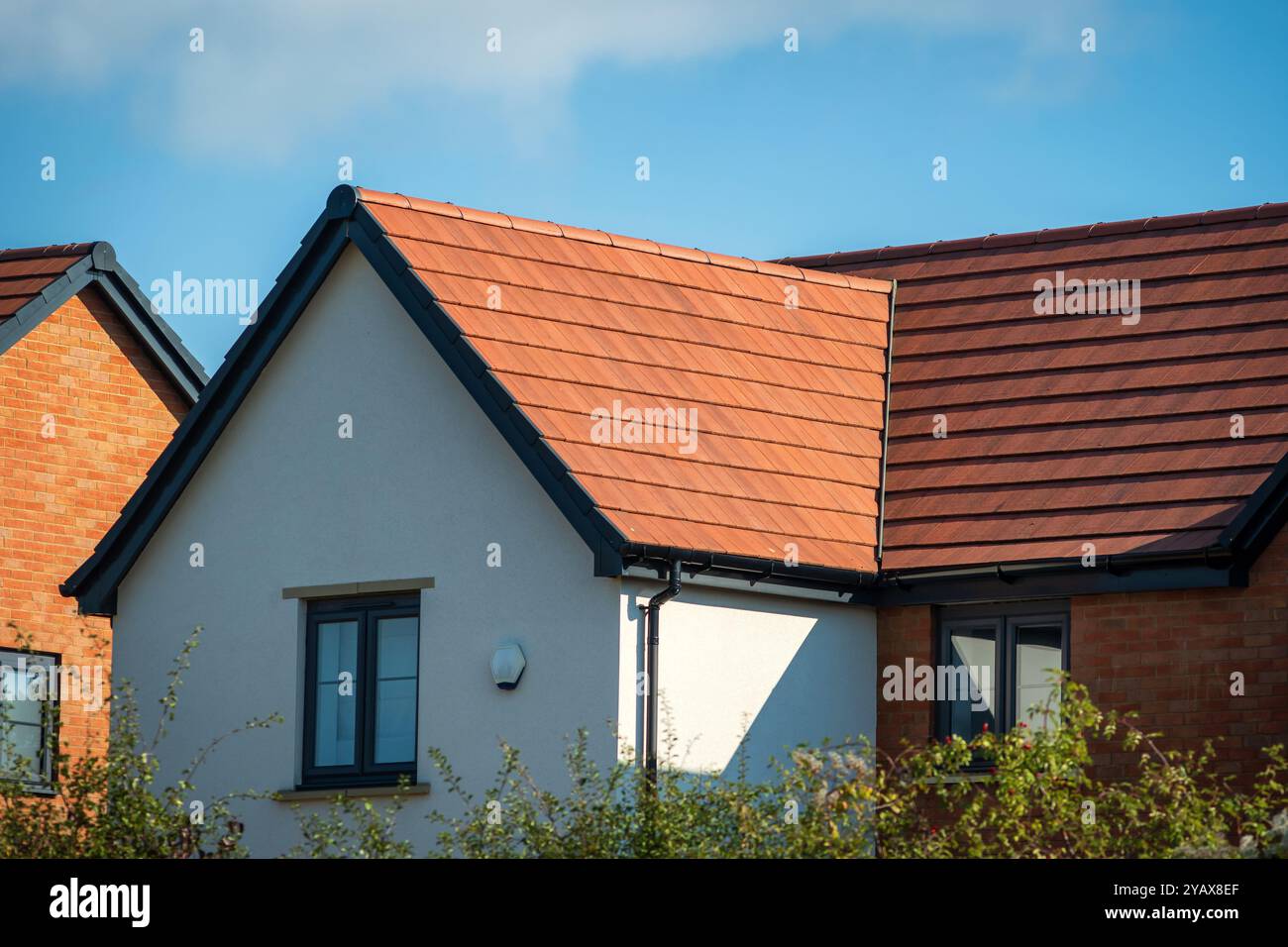 New build house development estate in england uk Stock Photo - Alamy