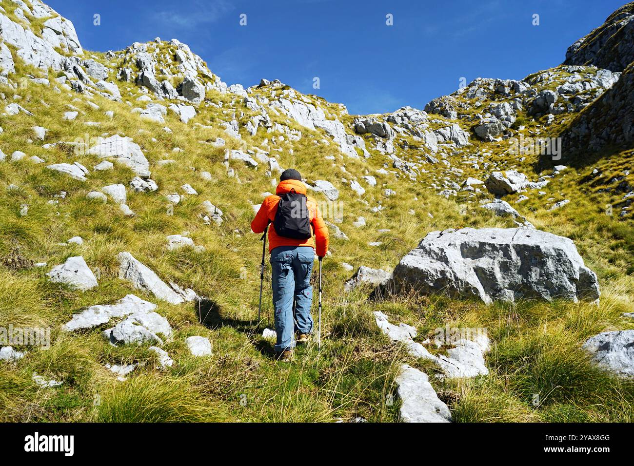 Healthy lifestyle: outdoor recreation. Man walking with hiking poles on ...