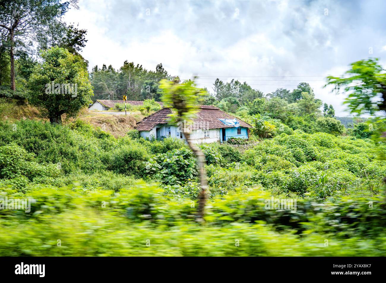 Yellamalai from Gudalur, Tamil Nadu - A Plantation Village in Tamil ...