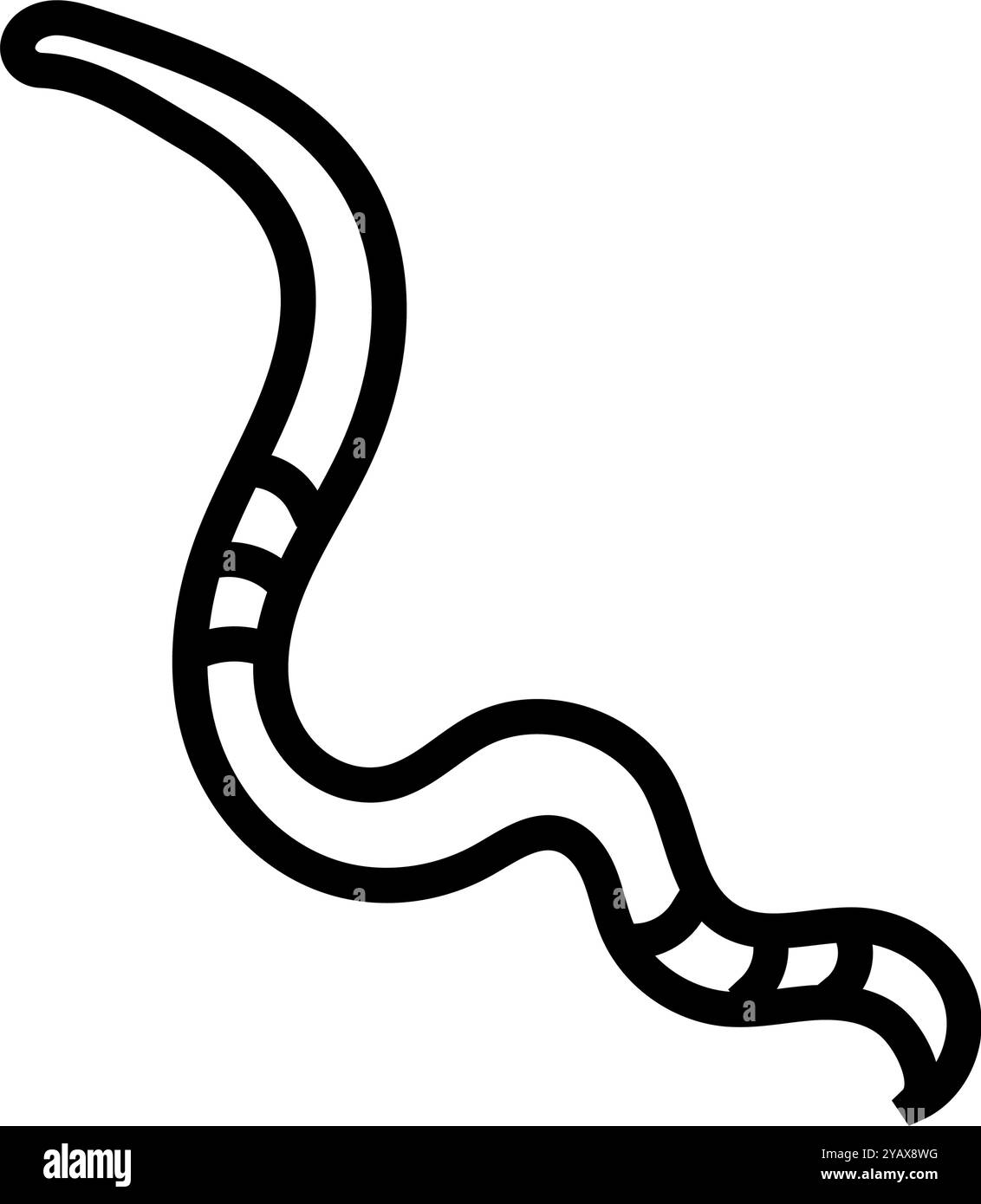 Lice vector Black and White Stock Photos & Images - Alamy