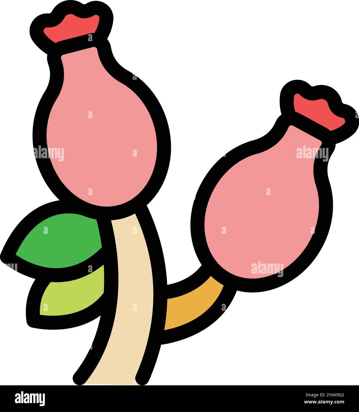 This minimalist vector illustration features two pink poppy seed pods ...