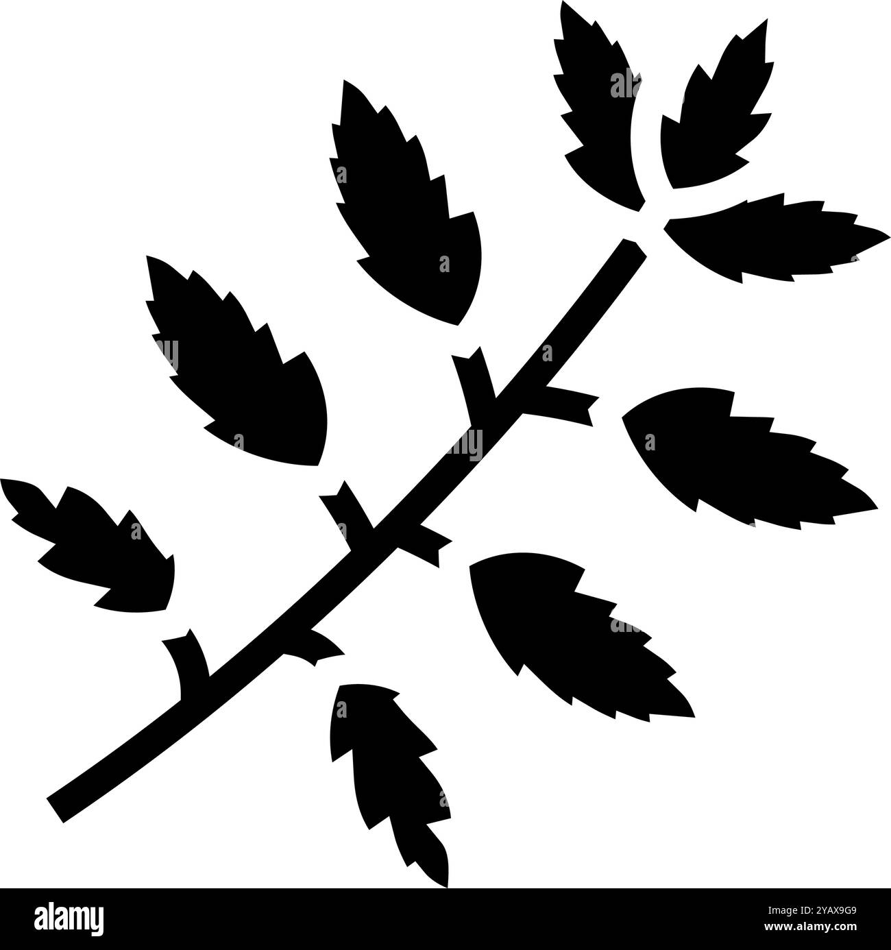 neem leaves ayurvedic herb glyph icon vector illustration Stock Vector ...
