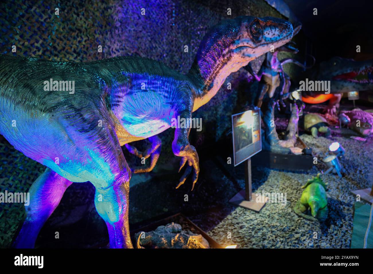 “World of Dinosaurs” exhibition in Provence, France Stock Photo - Alamy