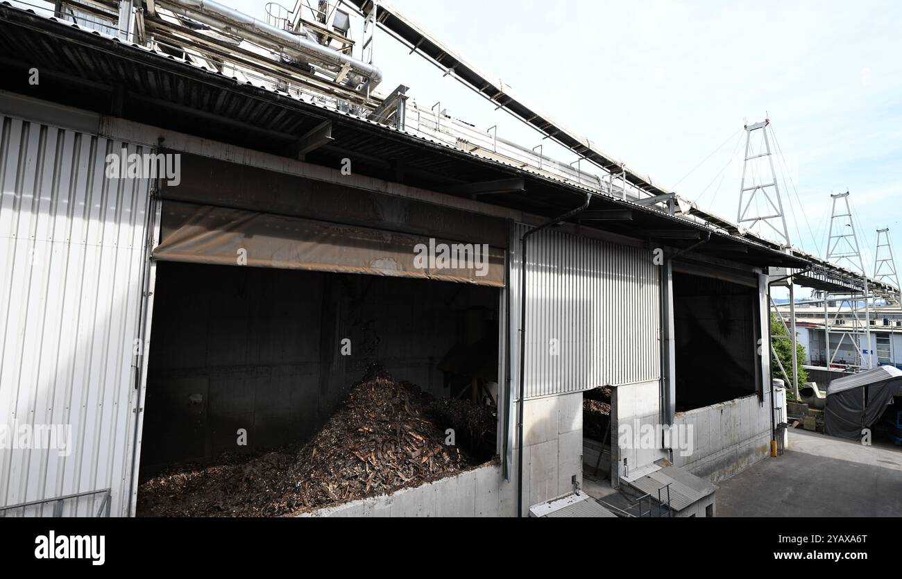 THEME PICTURE - Project 'capturing the future': Illustration of the ...