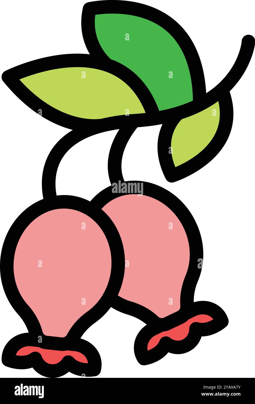 Simple illustration of two rose hips growing together with green leaves ...