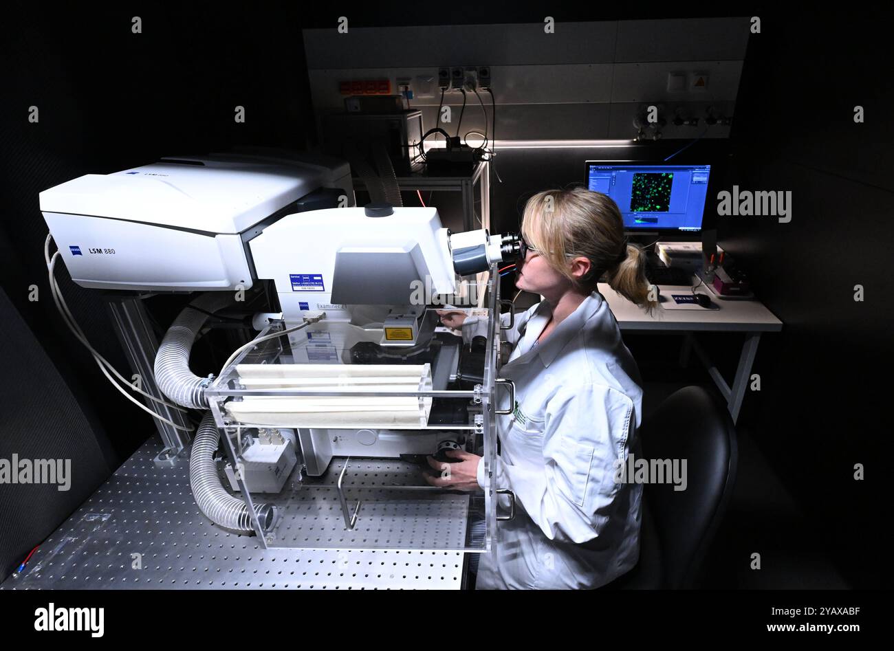 THEME PICTURE - Project 'capturing the future': The Imaging & Optics Facility at the ISTA Campus ...