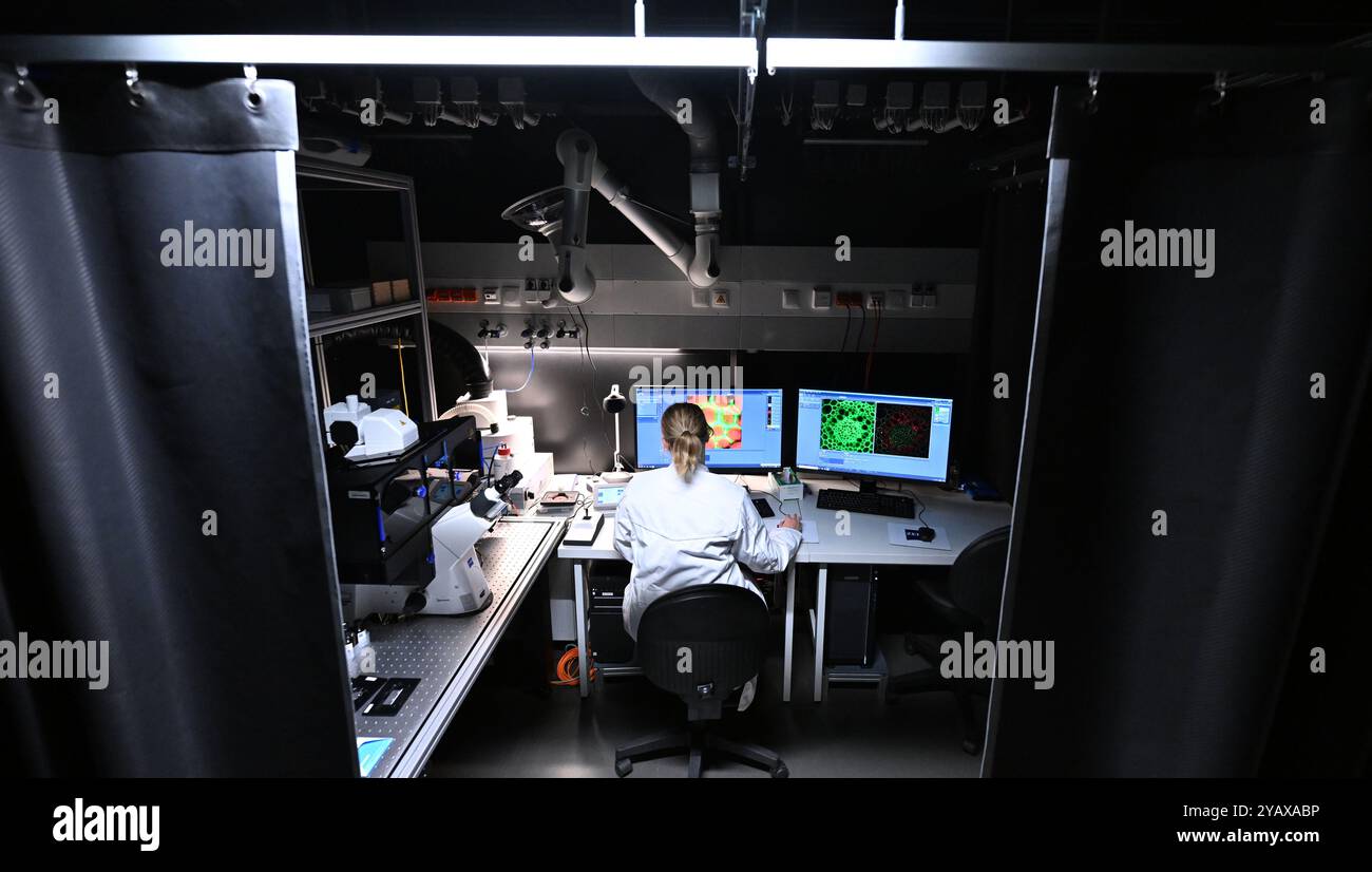 THEME PICTURE - Project 'capturing the future': The Imaging & Optics ...