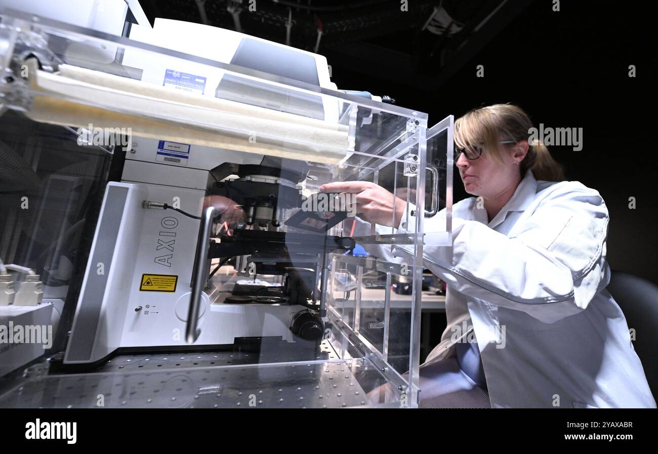 THEME PICTURE - Project 'capturing the future': The Imaging & Optics Facility at the ISTA Campus ...