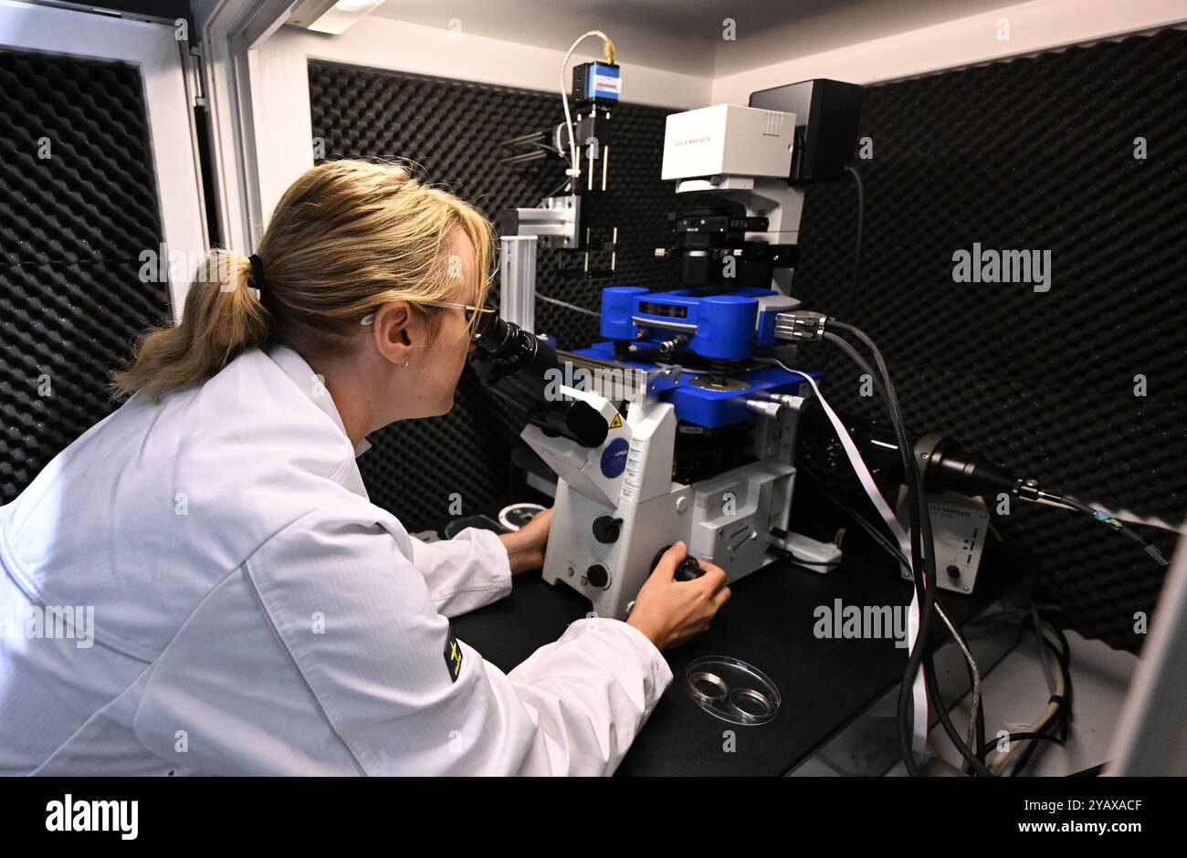 THEME PICTURE - Project 'capturing the future': The Imaging & Optics Facility at the ISTA Campus ...