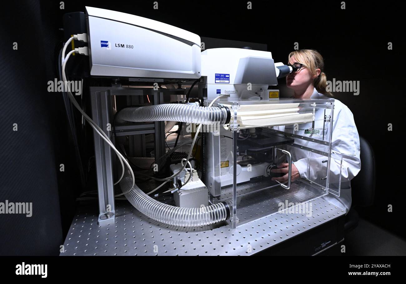 THEME PICTURE - Project 'capturing the future': The Imaging & Optics Facility at the ISTA Campus ...