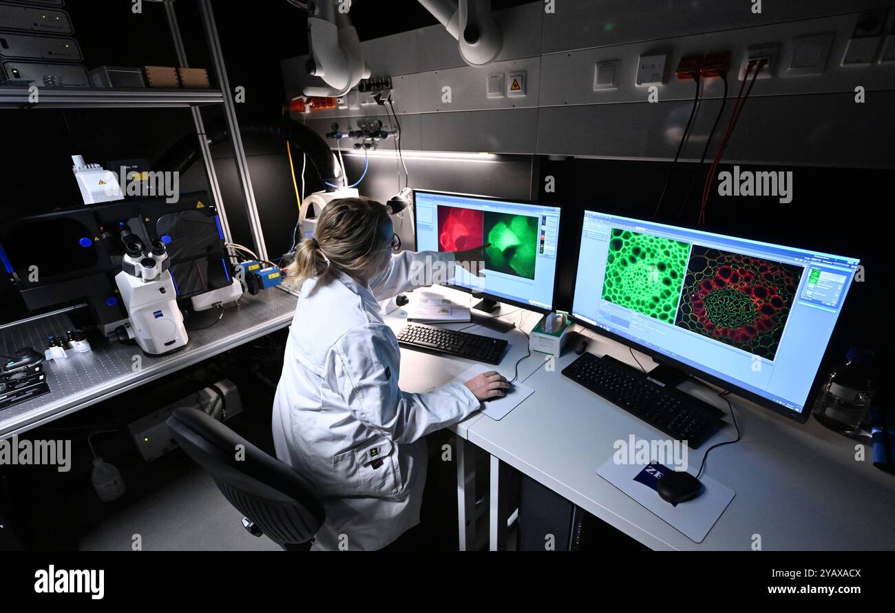 THEME PICTURE - Project 'capturing the future': The Imaging & Optics Facility at the ISTA Campus ...