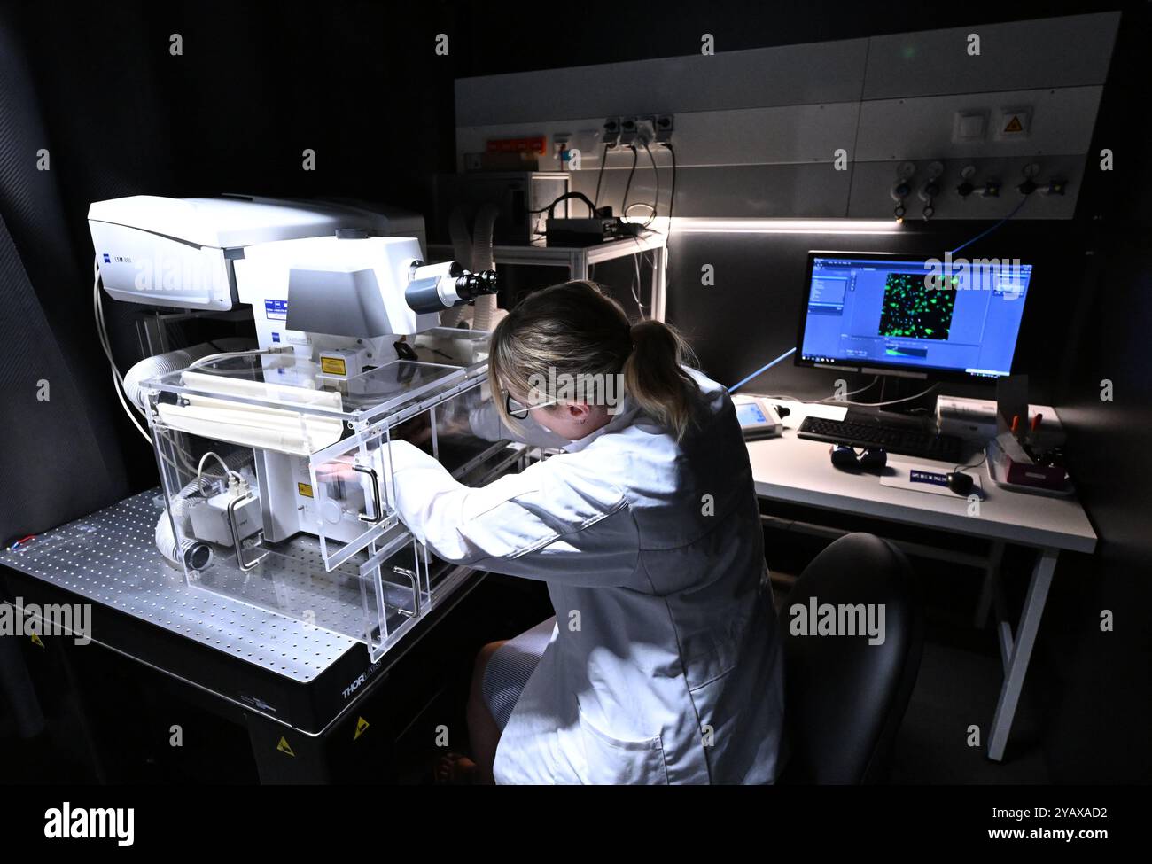 Imaging flow cytometry hi-res stock photography and images - Alamy