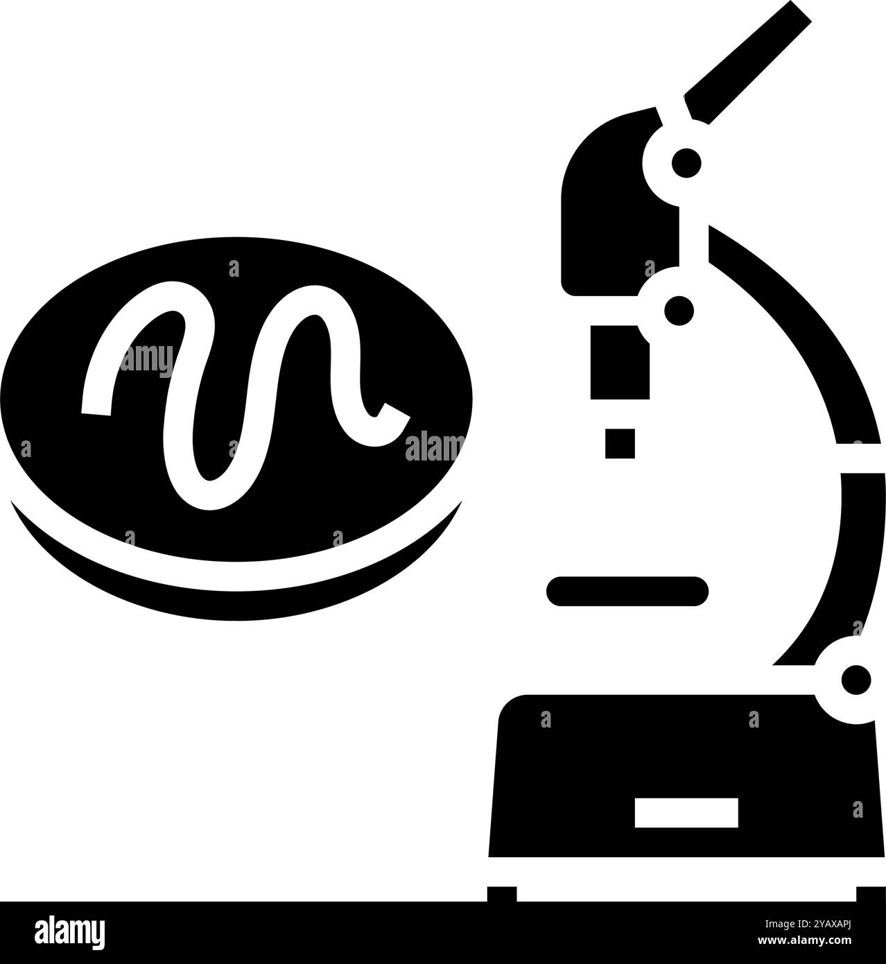 Microscope Worm Parasite Glyph Icon Vector Illustration Stock Vector 4023