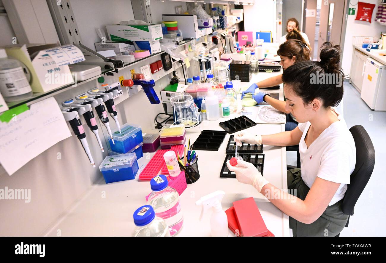 THEME PICTURE - Project 'capturing the future': Research and laboratory ...