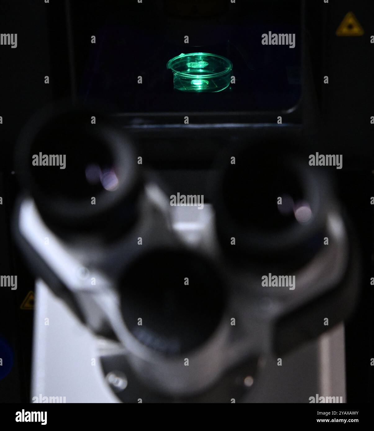 THEME PICTURE - Project 'capturing the future': The Imaging & Optics Facility at the ISTA Campus ...