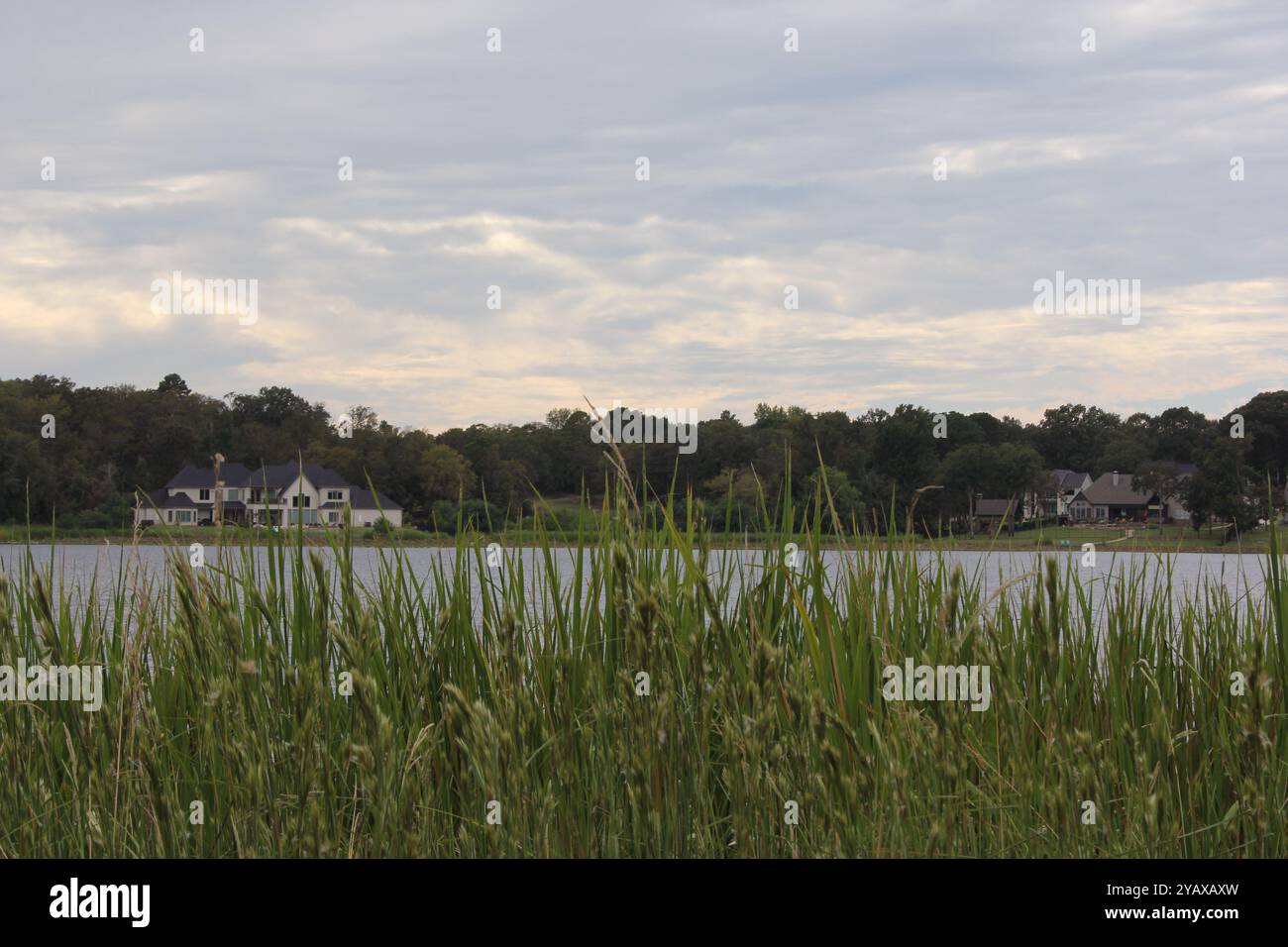 Tyler lake hi-res stock photography and images - Alamy
