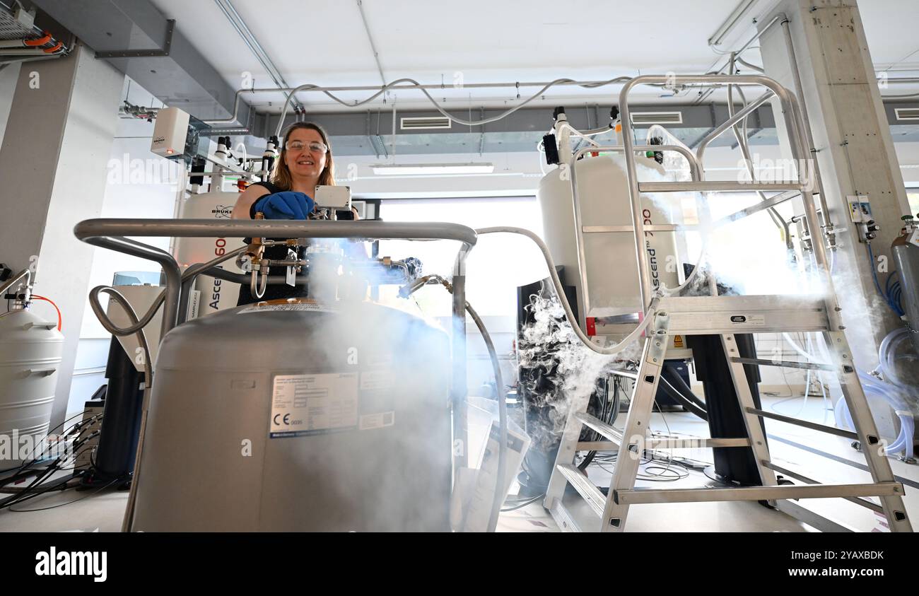THEME PICTURE - Project 'capturing the future': A technician working in the Nuclear Magnetic ...
