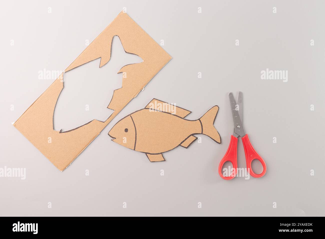 The fish cut out is placed below the cardboard, and the scissors are ...