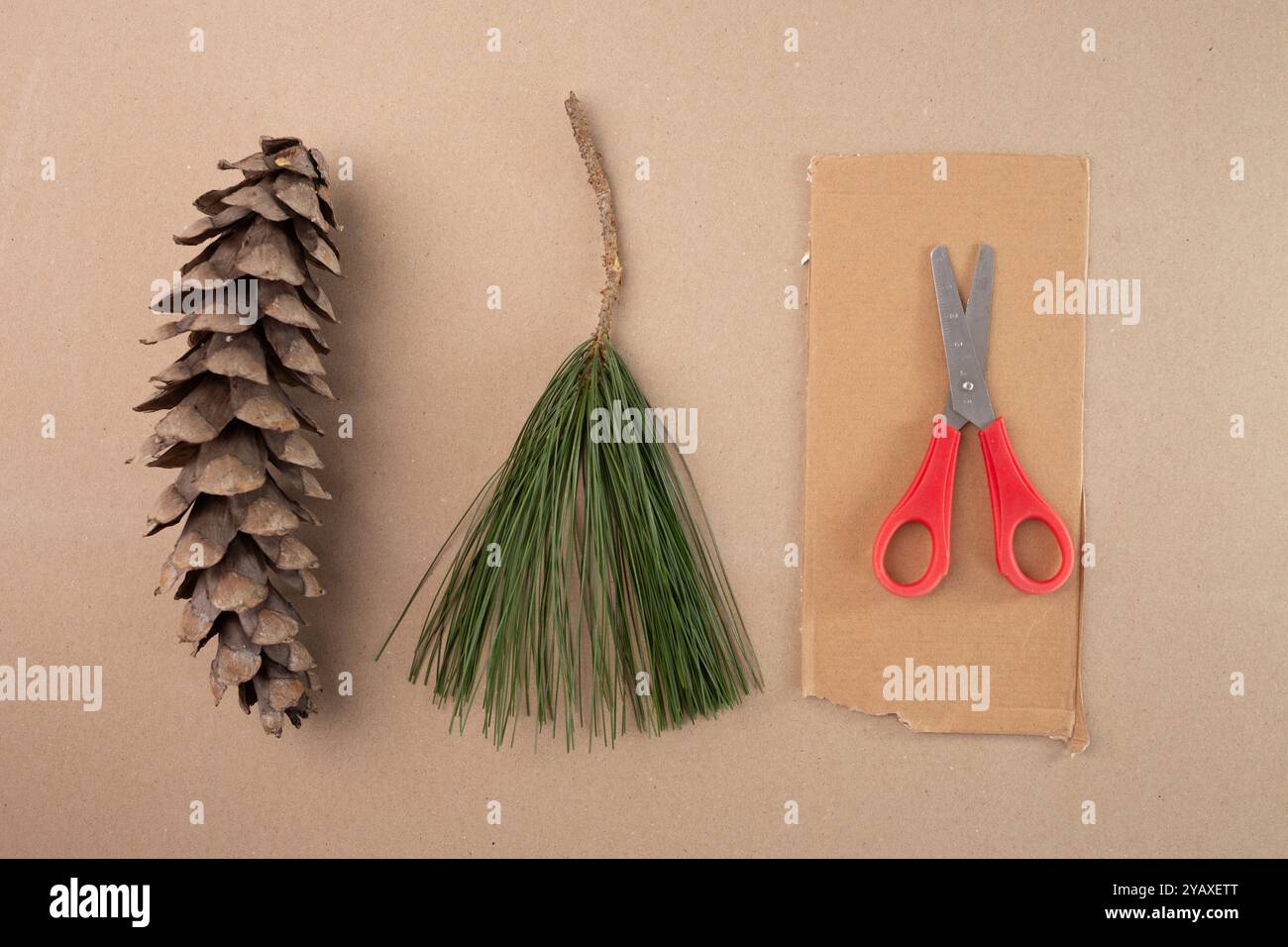 A layout of natural materials and scissors on a beige craft paper ...