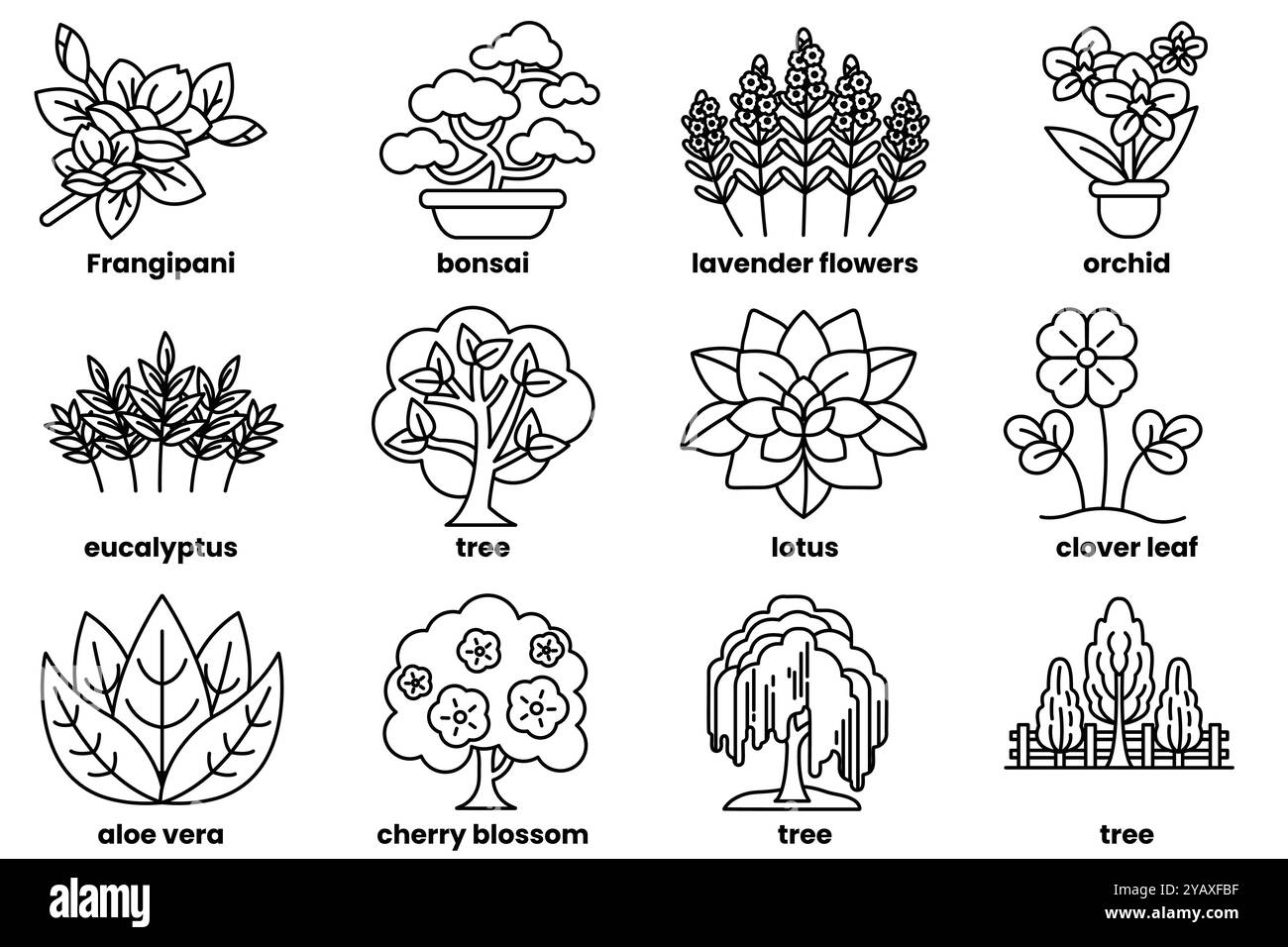 Set of illustrations in the concept of various trees and flowers in ...