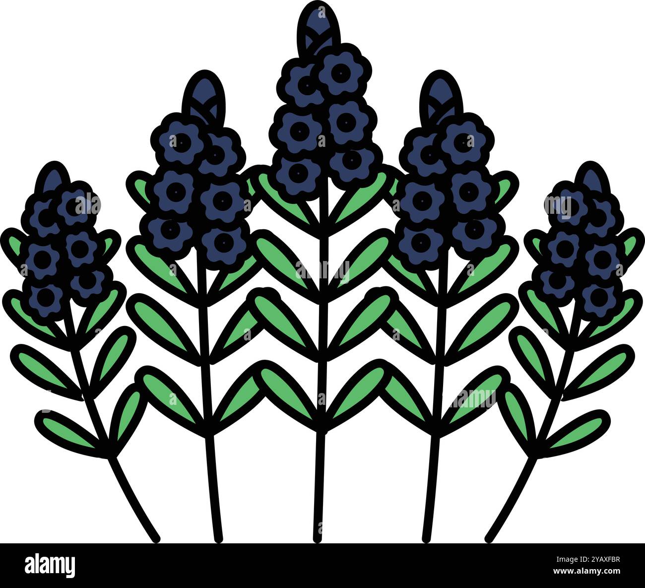 Bush row Stock Vector Images - Alamy