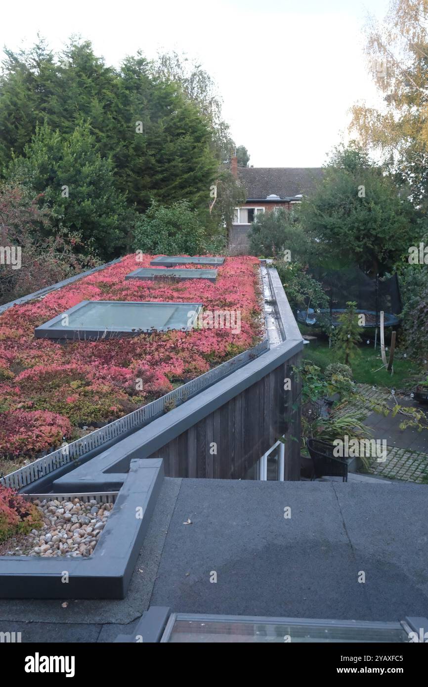 Home modern grass roof hi-res stock photography and images - Alamy