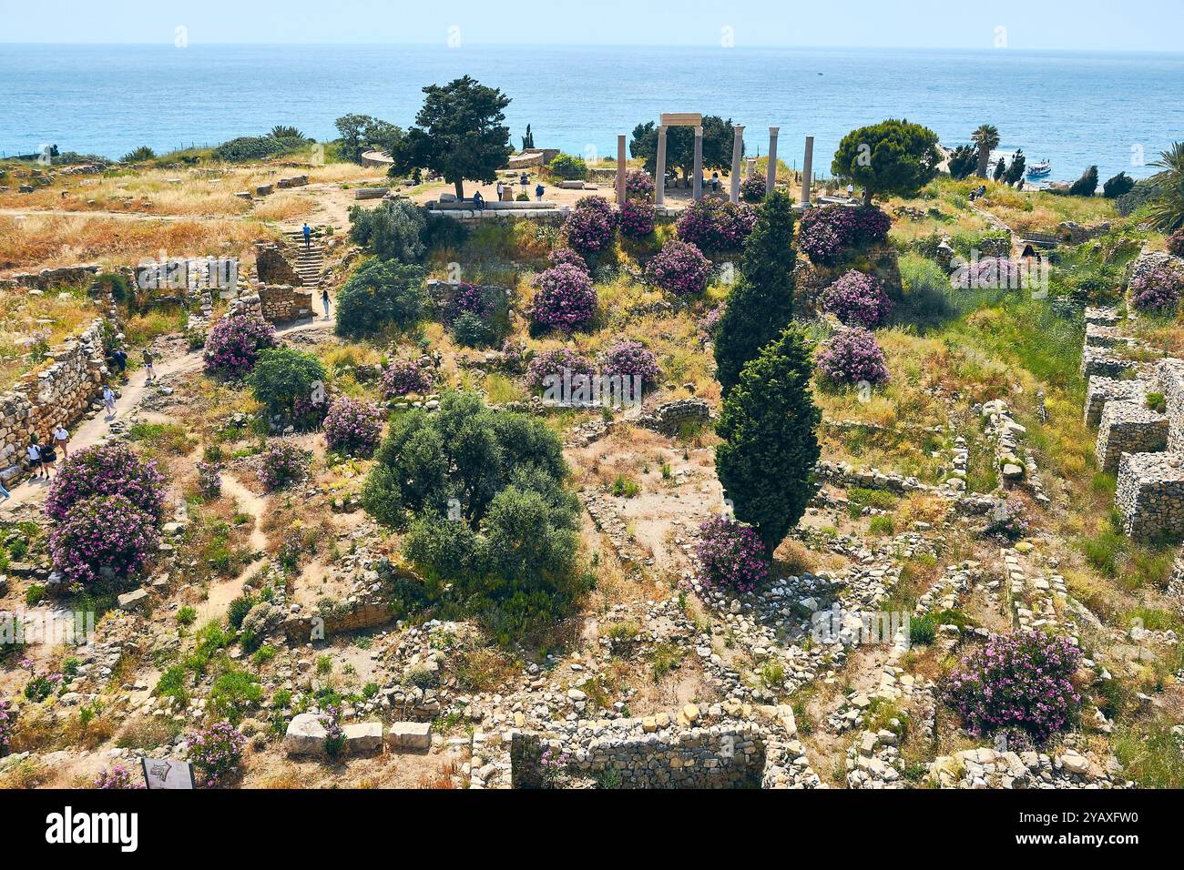 Columns of Temple of Astarte at Byblos Stock Photo - Alamy