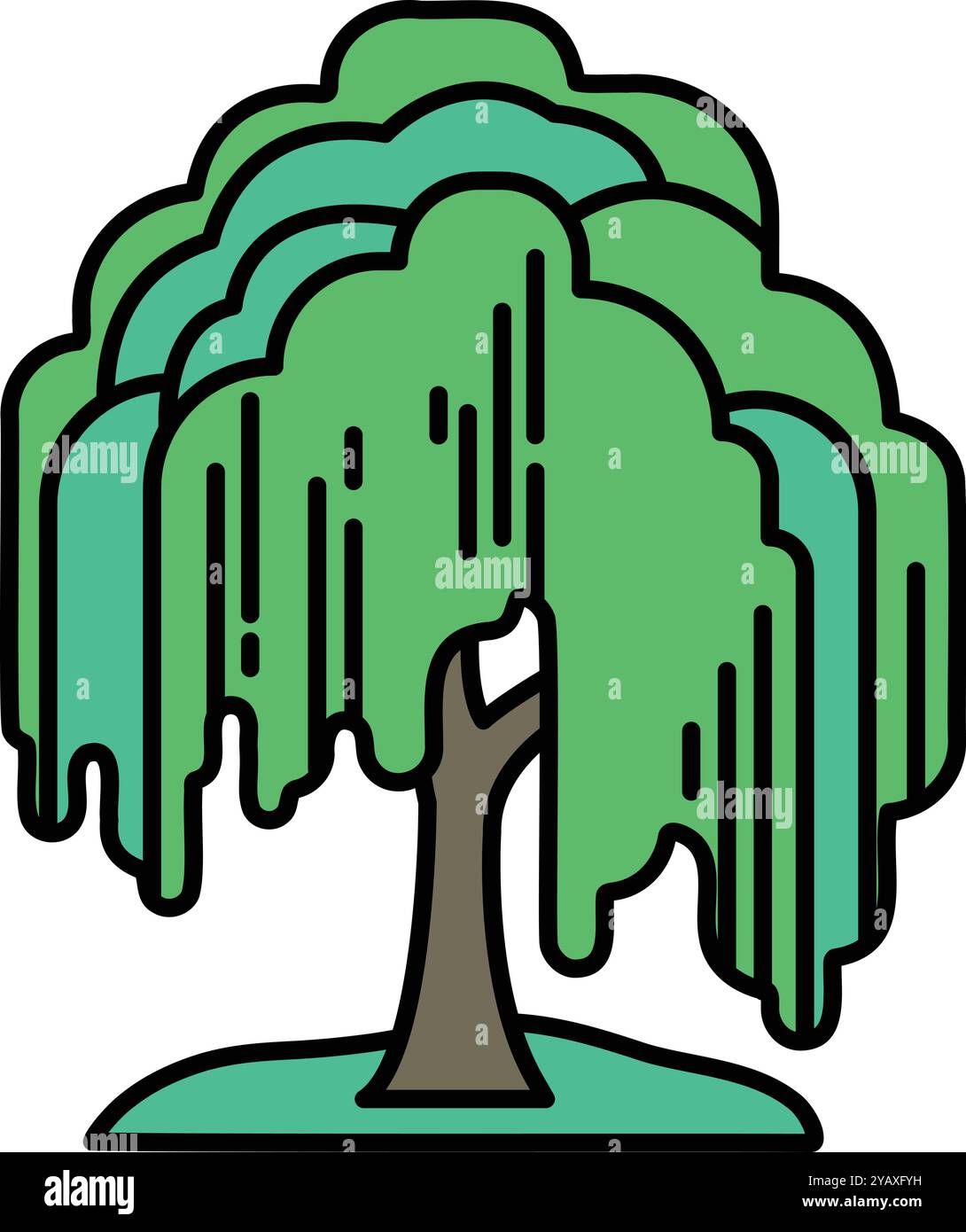 A tree with green leaves and a long, drooping branch. The tree is ...