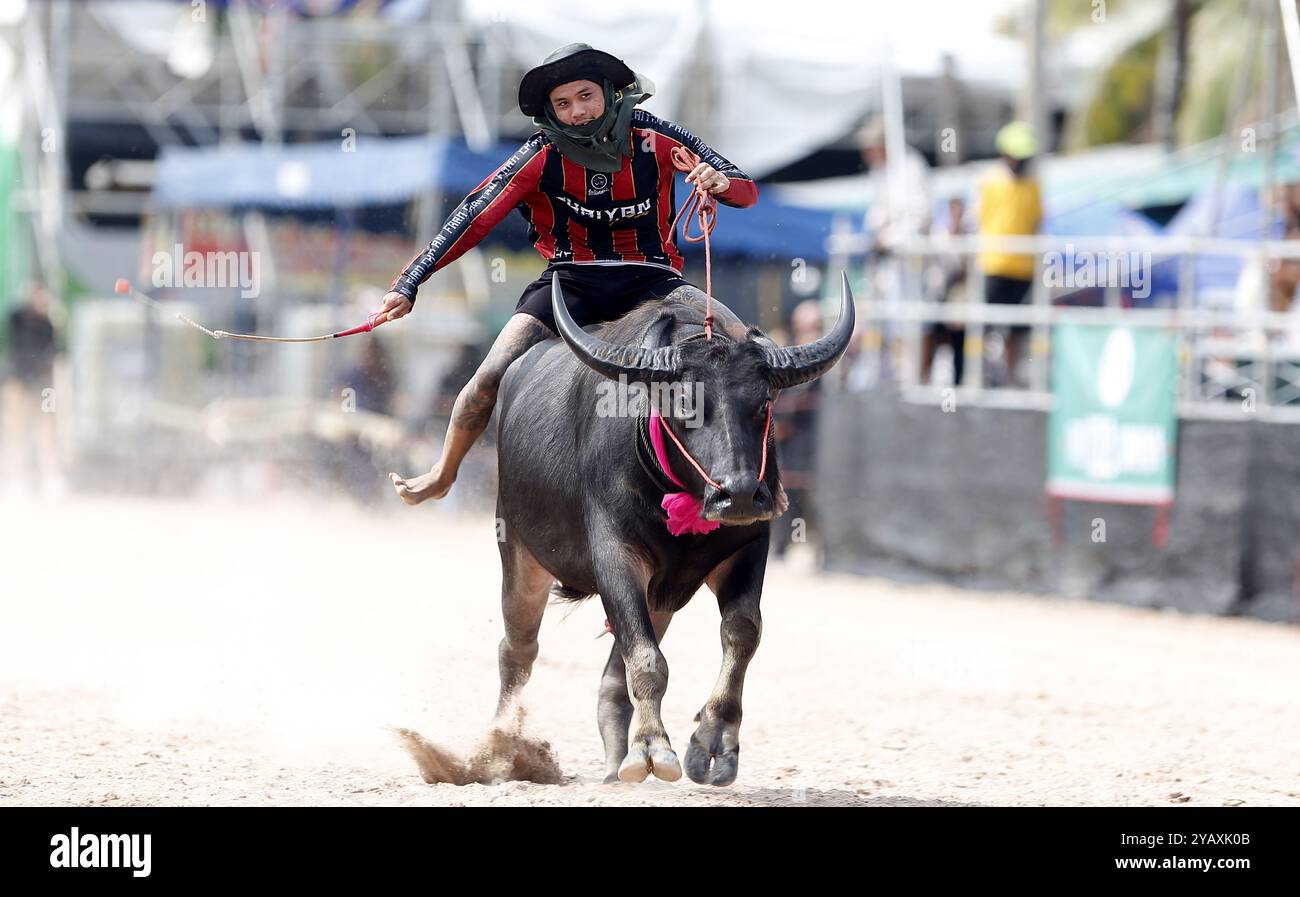 A jockey competes in Chonburi's annual buffalo race festival, east of ...