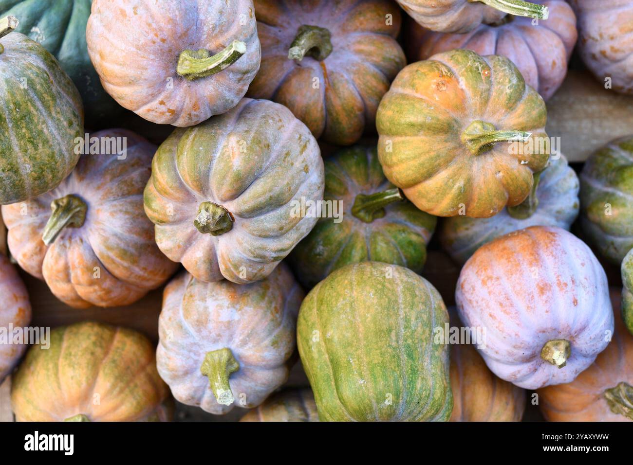 Natural pastel mix hi-res stock photography and images - Alamy
