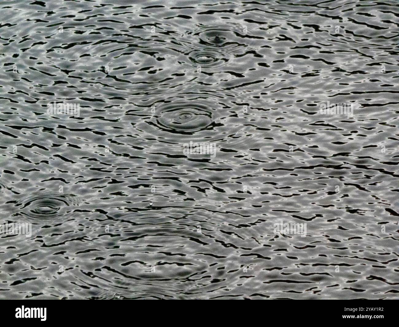 A beautiful background image: In the dance of the drops: The Amazon in ...