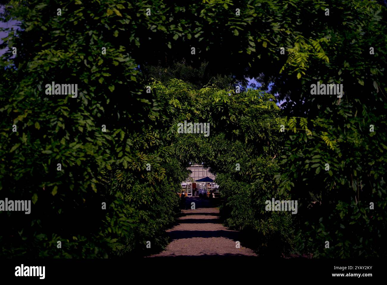 Frederiksberg Park botanical garden, Copenhagen Stock Photo - Alamy