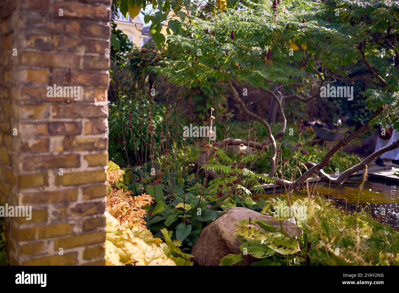 Frederiksberg Park botanical garden, Copenhagen Stock Photo - Alamy