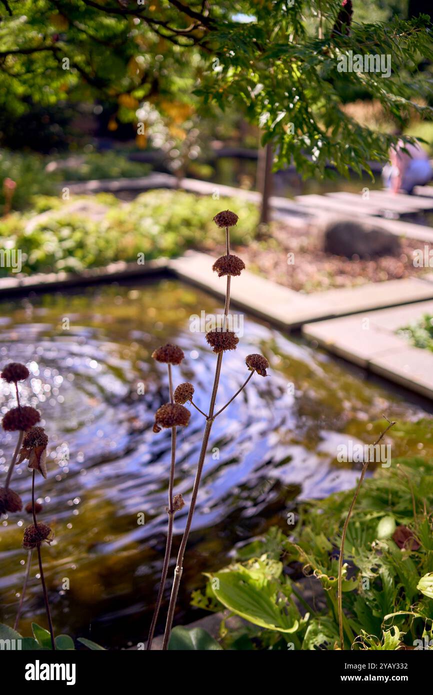 Botanical garden copenhagen hi-res stock photography and images - Alamy