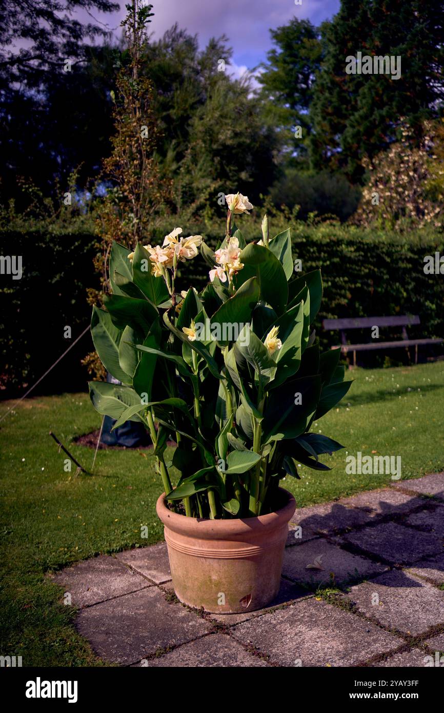 Frederiksberg Park botanical garden, Copenhagen Stock Photo - Alamy