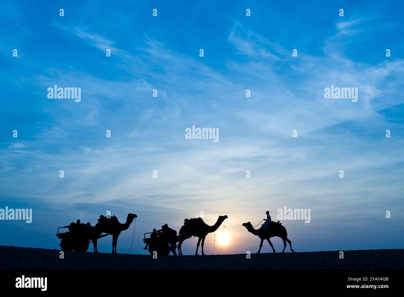 India, Rajasthan, Jaisalmer, Camel Ride, sunset Stock Photo - Alamy