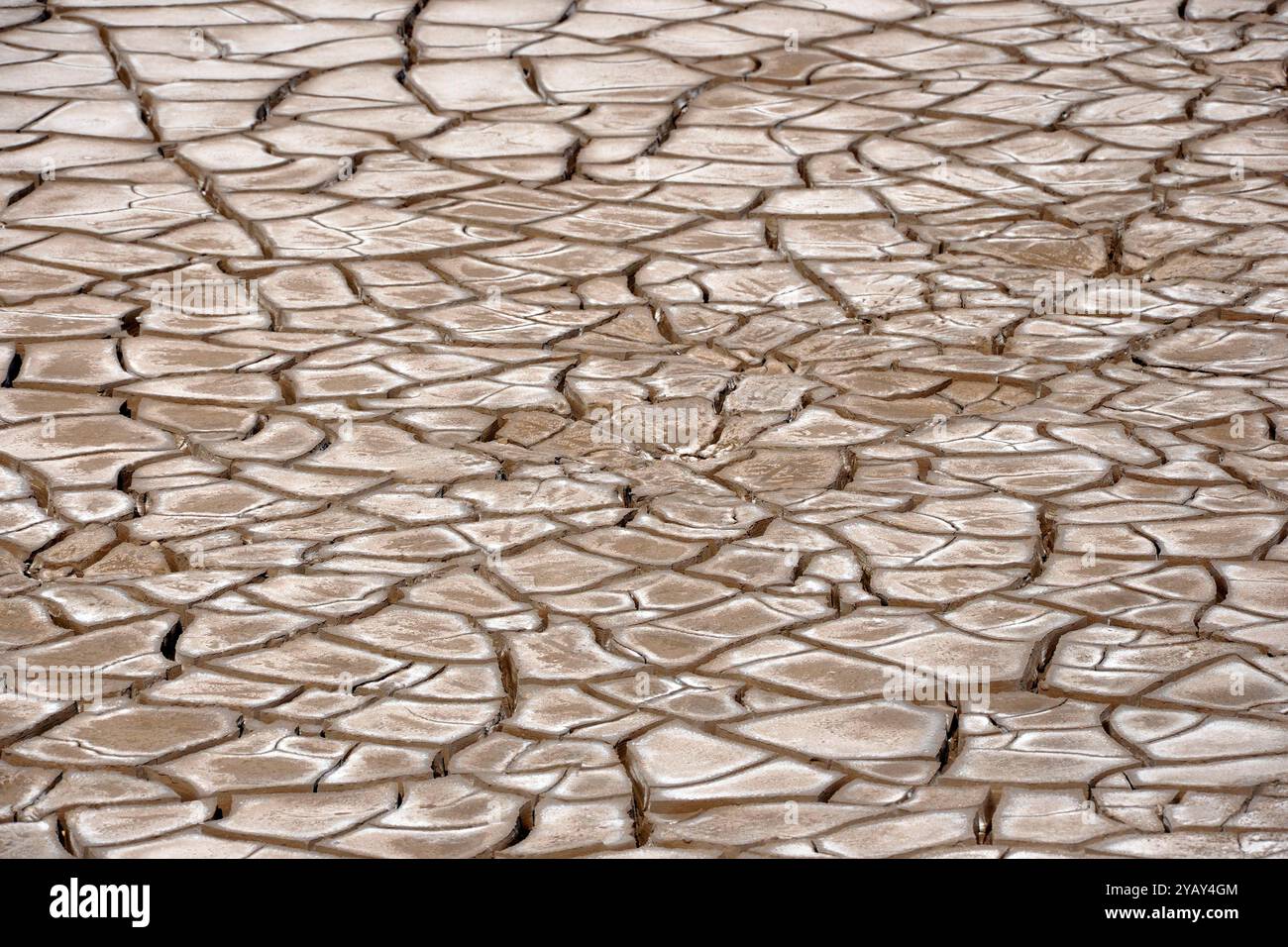 Gujarat india landscape hi-res stock photography and images - Alamy