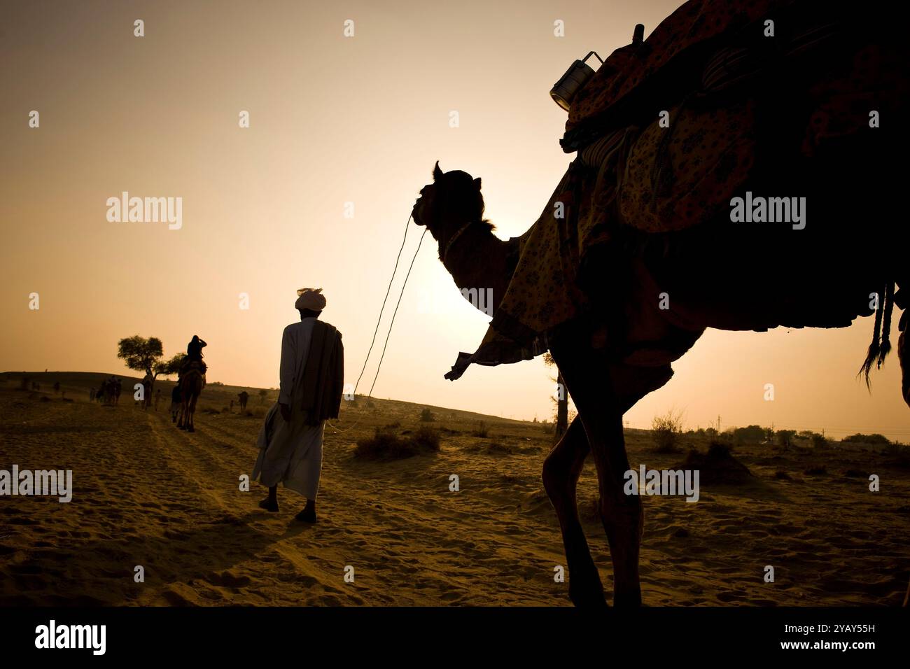 India, Rajasthan, Jaisalmer, Camel Ride Stock Photo - Alamy