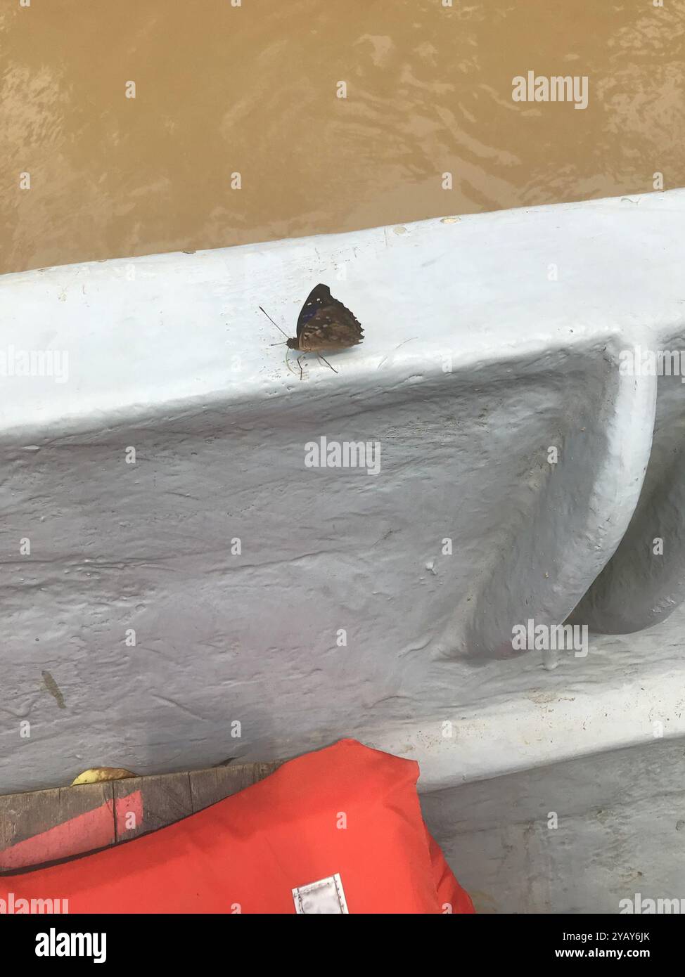 Agathina hi-res stock photography and images - Alamy