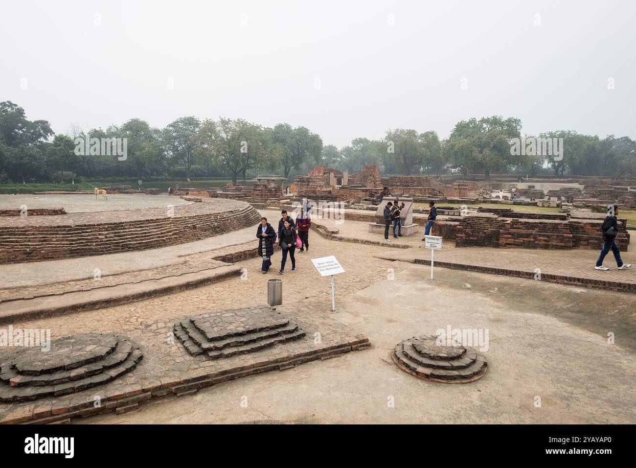 India, Varanasi, Sarnath temple, archaeological site Stock Photo - Alamy