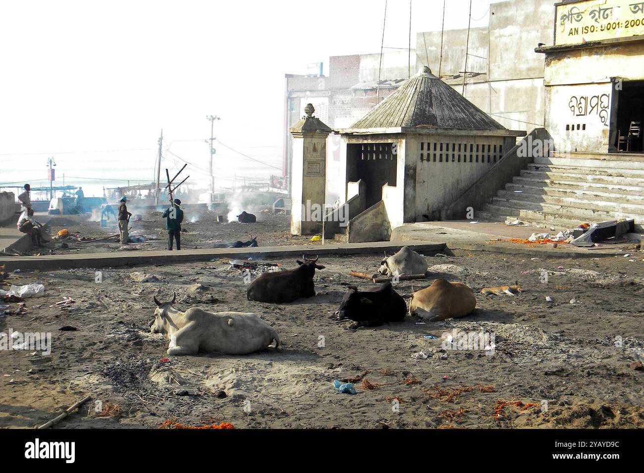 Cremation ground, Puri, Orissa, India Stock Photo - Alamy
