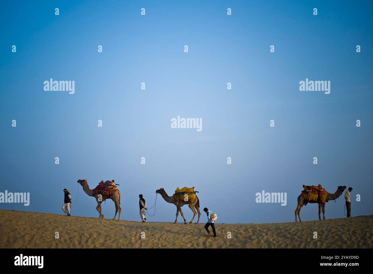 India, Rajasthan, Jaisalmer, Camel Ride Stock Photo - Alamy