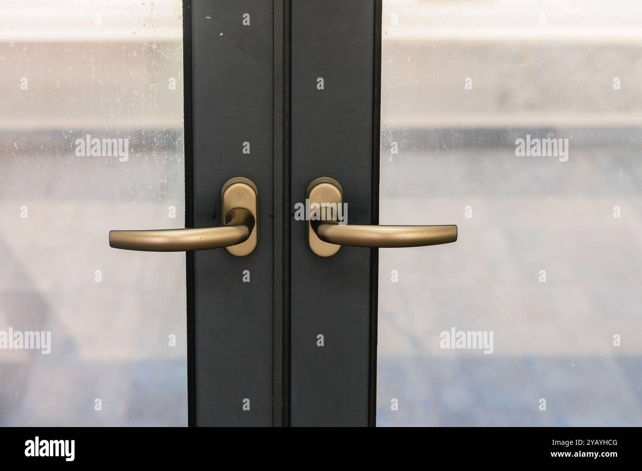 Two elegantly designed bronze handles stand on a pair of glass doors ...