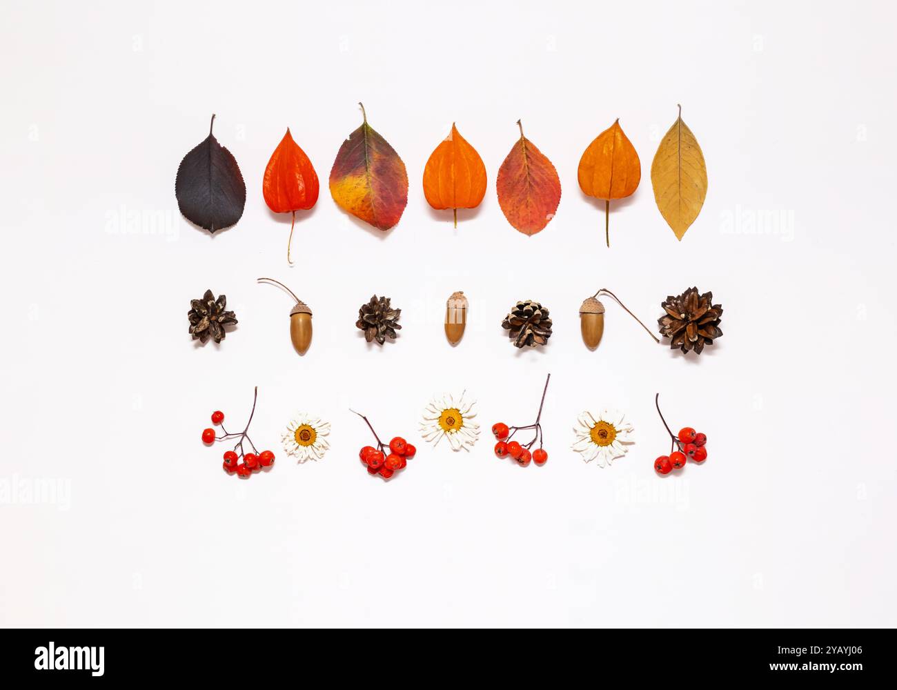 Diverse natural elements hi-res stock photography and images - Alamy