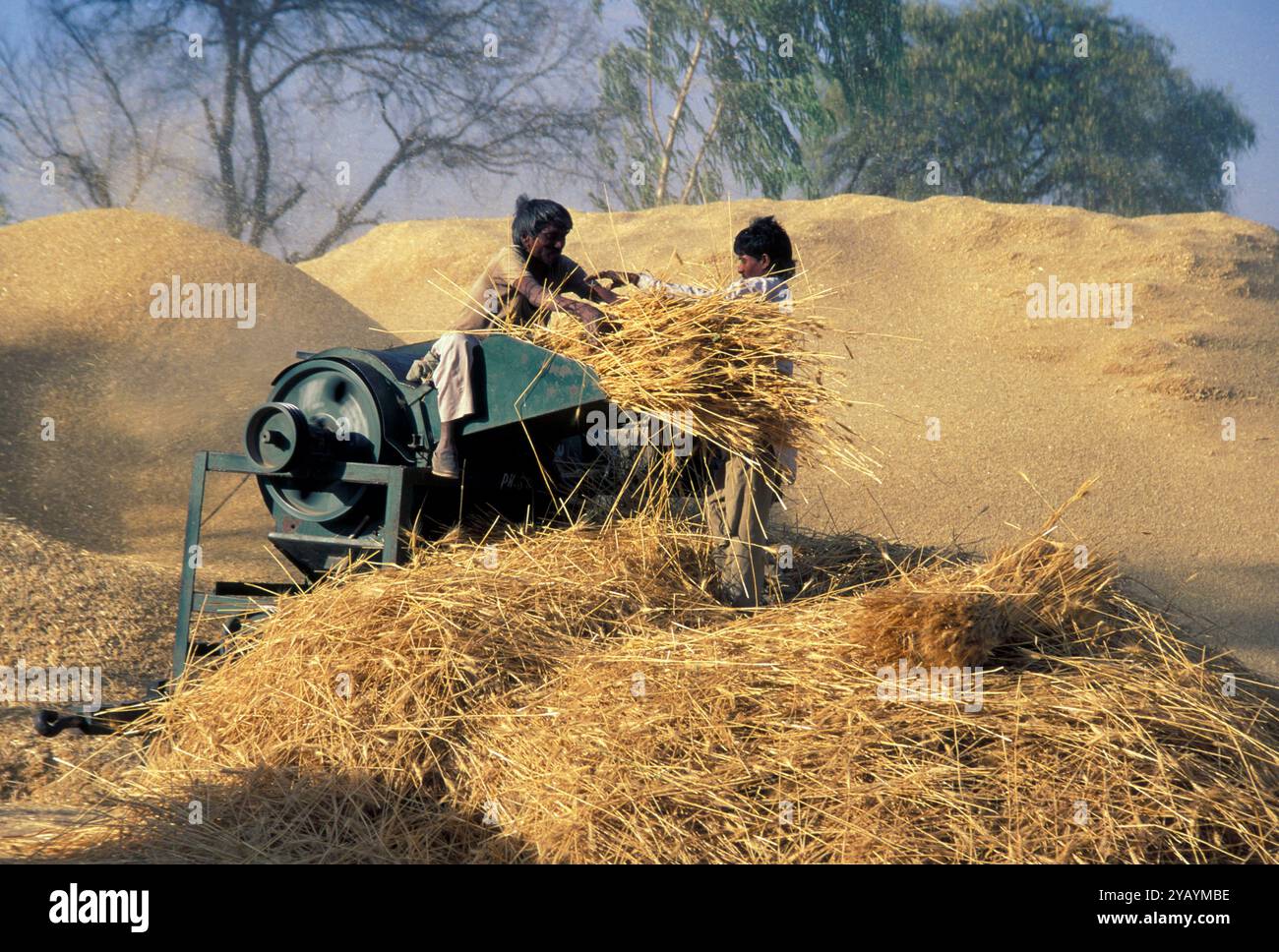 Boy and girl working in field hi-res stock photography and images - Alamy